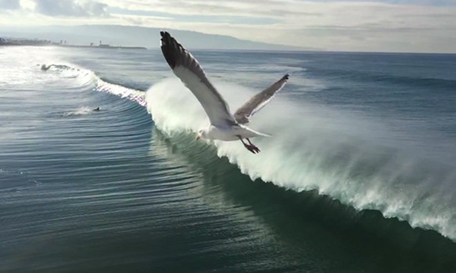 Apple adds user videos to 'Shot on iPhone 6' ad campaign | AppleInsider