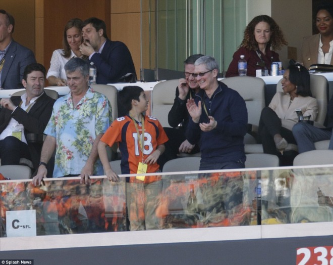 Apple's Tim Cook, Eddy Cue attend Super Bowl 50 amid talks of NFL ...
