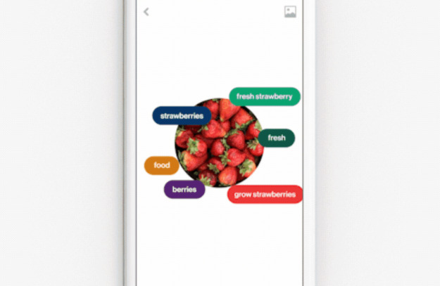 Pinterest adds Lens dish recognition for recipe hunters on iPhone ...